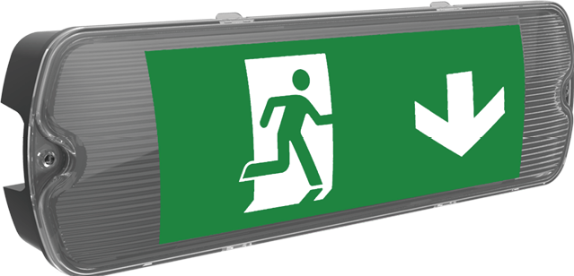 Exit Box and Hanging Exit Signs – ETC Electrical